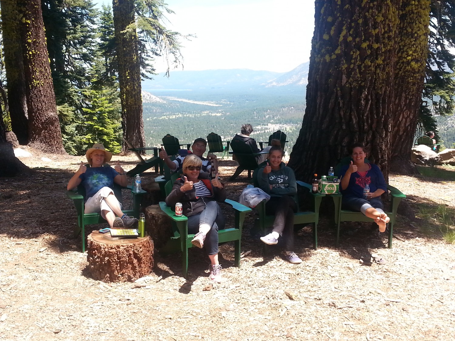 End of the Year Update: Looking back to 2014 and ahead to 2015 ...